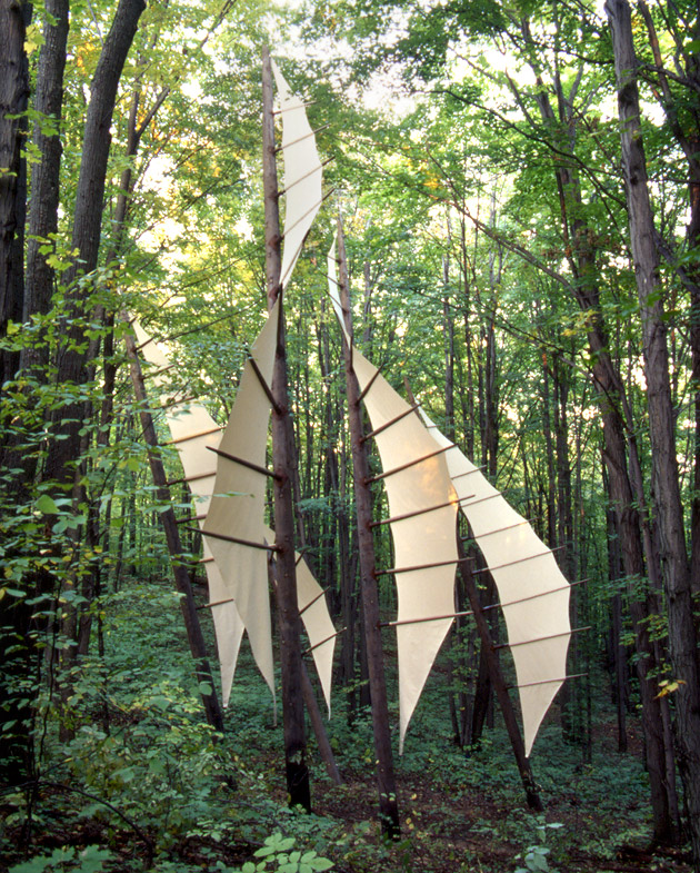 Michael McGillis » Five Needles 3